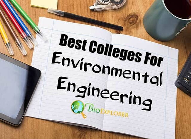 Top 15 Current Environmental Issues In America | Biology Explorer