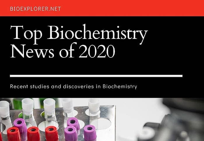 Welcome To Biology Explorer | Biology News | BioExplorer.net