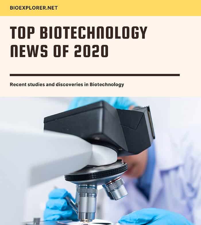 Top 10 Best Biotechnology Colleges in the USA | Biology Explorer