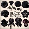 21 Black Flowers (With Pictures) | Dark Blooms Guide