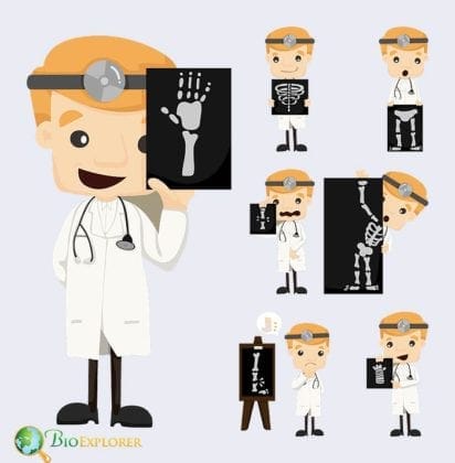 How To Become A Radiologist? | Branches of Radiology | BioExplorer.Net