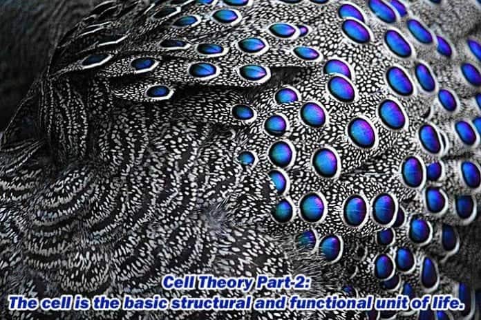 3 Parts of Cell Theory | Modern Cell Theory | History of Cell Theory