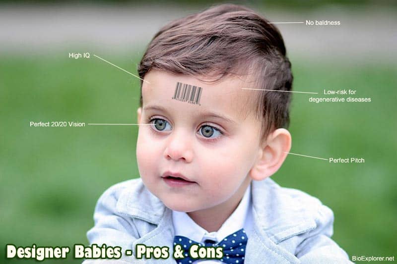 Top 20 Designer Babies Pros and Cons Explained | Biology Explorer