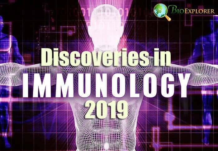 Welcome To Biology Explorer | Biology News | BioExplorer.net