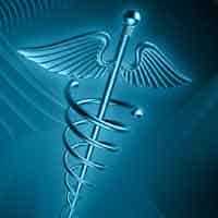 Branches of Biology | Divisions of Biology | Fields of Biology