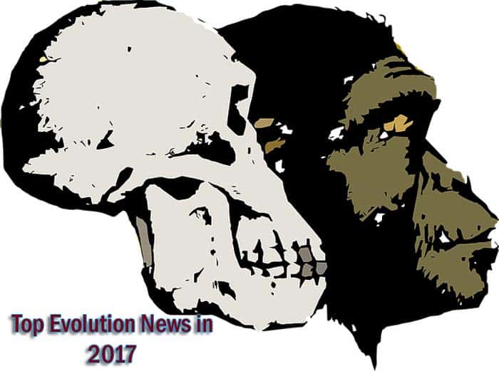 Top 10 Evolution News In 2017 | Evolution Current Events | BioExplorer