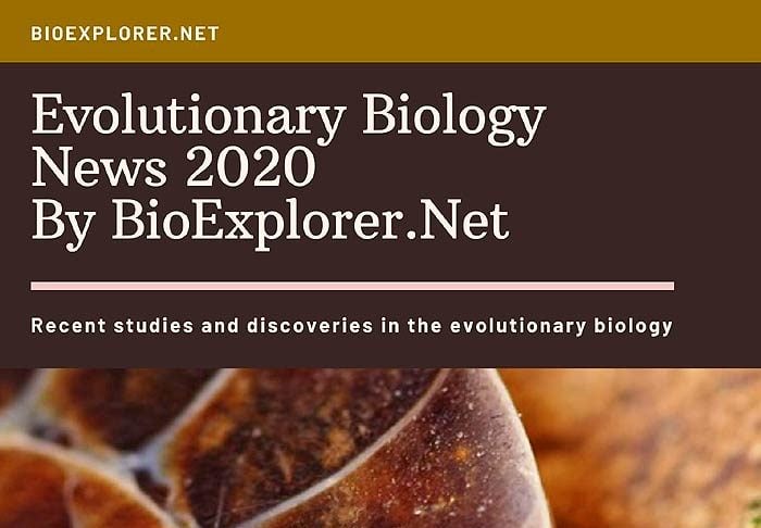 Welcome To Biology Explorer | Biology News | BioExplorer.net