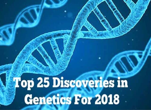 3 Primary Branches of Genetics | BioExplorer