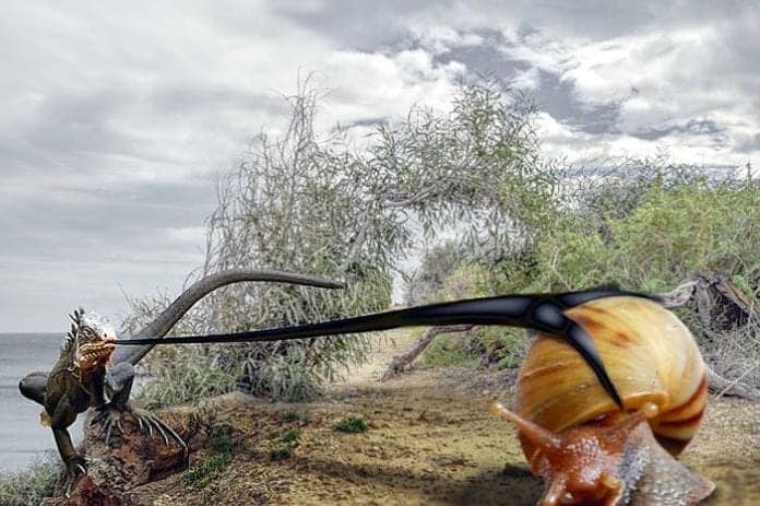 What Do Lizards Eat? | Lizard Diets By Types | BioExplorer