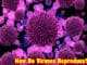 How Do Viruses Reproduce? | Lysogenic Cycle Stages | BioExplorer.Net