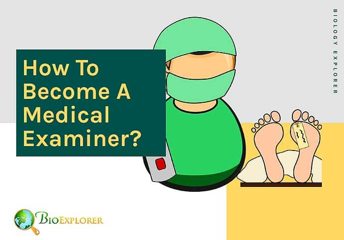 How To Become A Medical Examiner? | Educational Qualifications | Salary