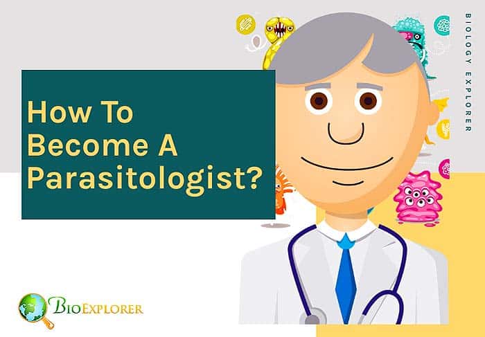 How To Become A Parasitologist? | Tracks in Parasitology | BioExplorer.net
