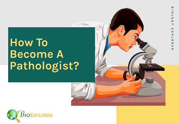 How To Become A Pathologist? | Types of Pathologist | BioExplorer.Net
