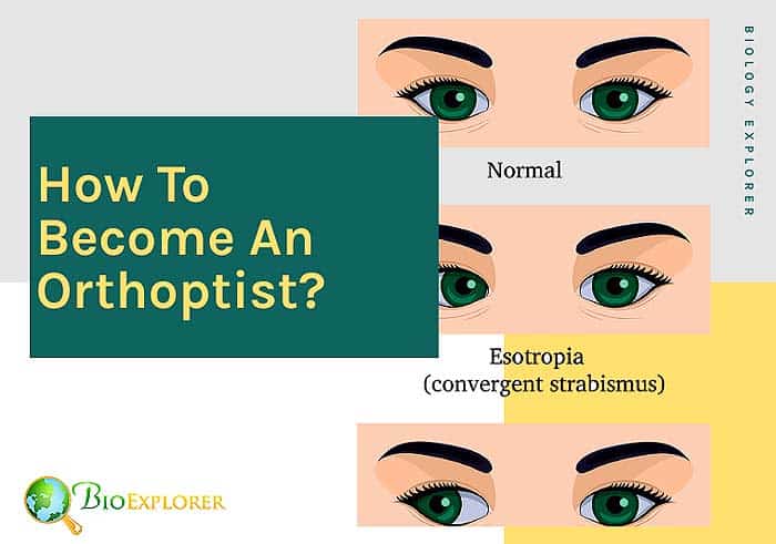 How To Become An Orthoptist? | Educational Qualification | Salary Info