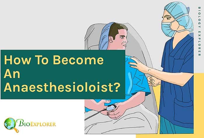 How to Become An Anesthesiologist? | Educational Qualification & Salary