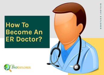 How To Become An Emergency Room (ER) Doctor? | BioExplorer.Net