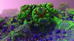 How Do Fungi Reproduce? | Types of Fungi Reproduction | BioExplorer