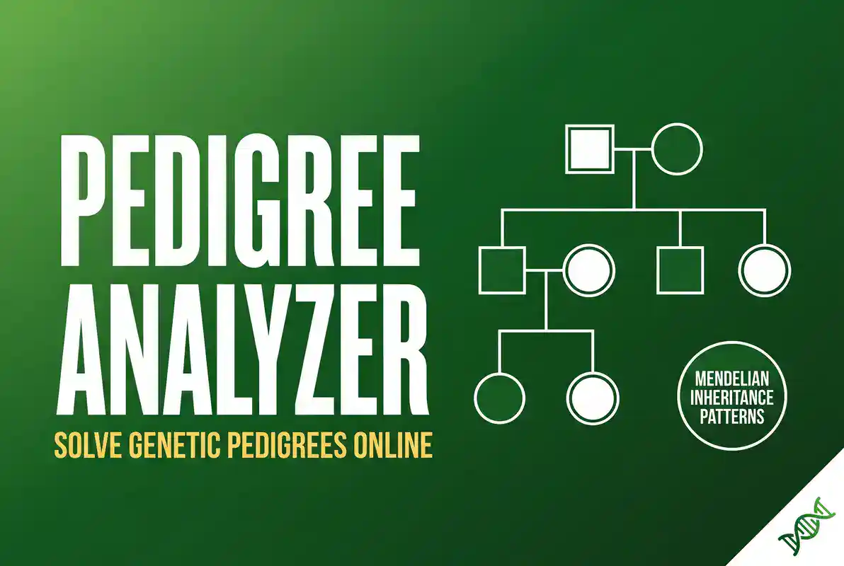 Pedigree Analyzer: Solve Genetic Pedigrees Online – Bio Explorer