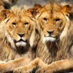 10 Branches of Ecology | 2 Subdivisions: Autoecology & Synecology