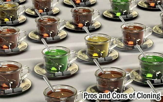 Top 7 Pros and Cons of Cloning | Reproductive Cloning | BioExplorer