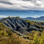 10 Branches of Ecology | 2 Subdivisions: Autoecology & Synecology