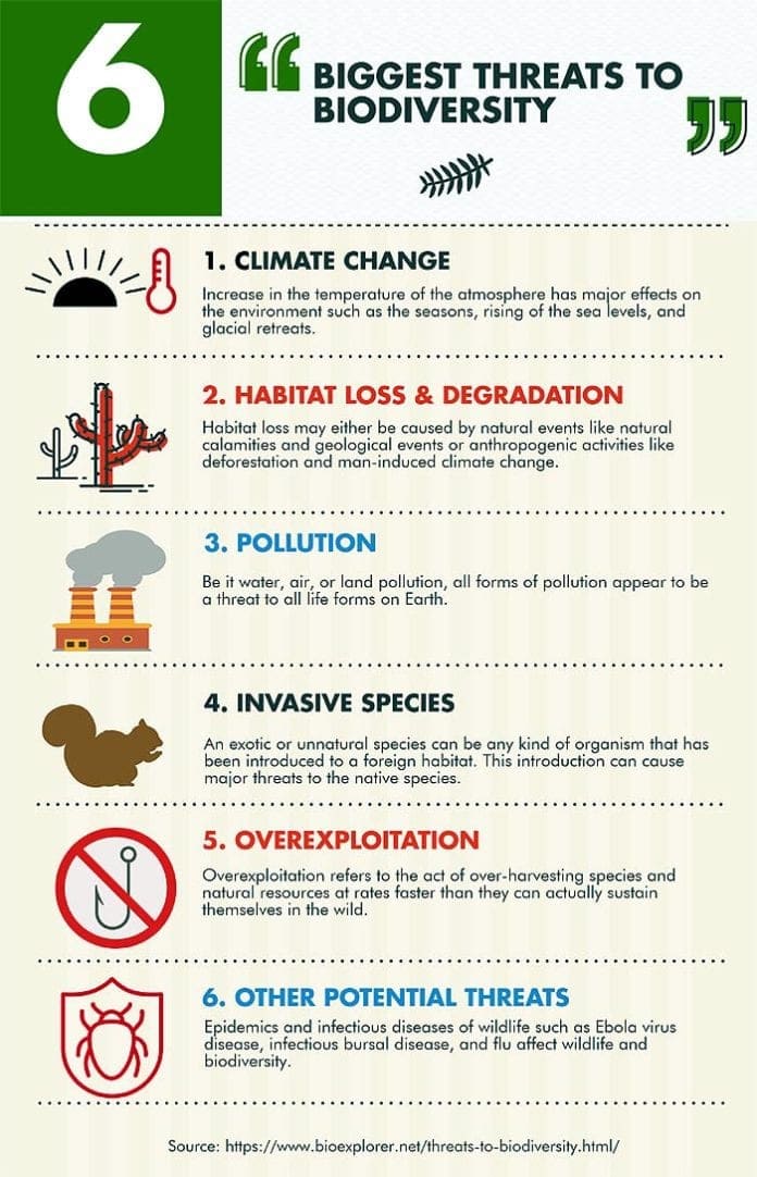 Threats to Biodiversity | 6 Major Loss of Biodiversity | BioExplorer