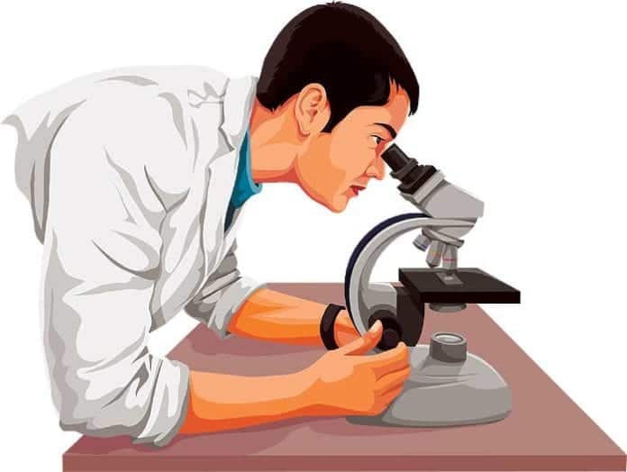 How To Become A Pathologist? | Types of Pathologist | BioExplorer.Net