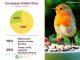 What Do Robins Eat? | Robins Diet By Types | What Eats Robins?
